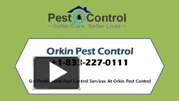 PPT – Exclusive Offer With Orkin Pest Control PowerPoint presentation | free to download - id ...