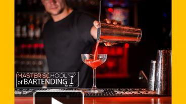 Online Bartending School - Master School of Bartending presentation | free to download
