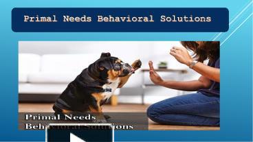 PPT – Primal Needs Behavioral Solutions - Dog Training in Mt Shasta PowerPoint presentation ...