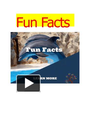 PPT – Fun Facts PowerPoint presentation | free to download - id: 932475 ...