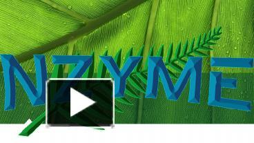 Cleaning Products - NZYME presentation | free to download