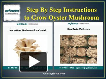 Step By Step Instructions to Grow Oyster Mushroom presentation | free ...
