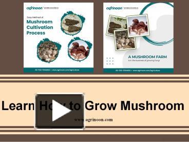PPT – Learn How to Grow Mushroom Log PowerPoint presentation | free to ...