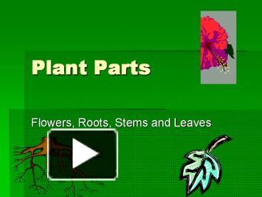 Plant Parts presentation | free to view