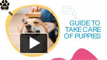 GUIDE TO TAKE CARE OF PUPPIES presentation | free to download