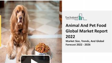 PPT – Animal And Pet Food Market Report 2022-2031 | Industry Growth ...