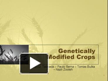 Genetically Modified Crops presentation | free to view