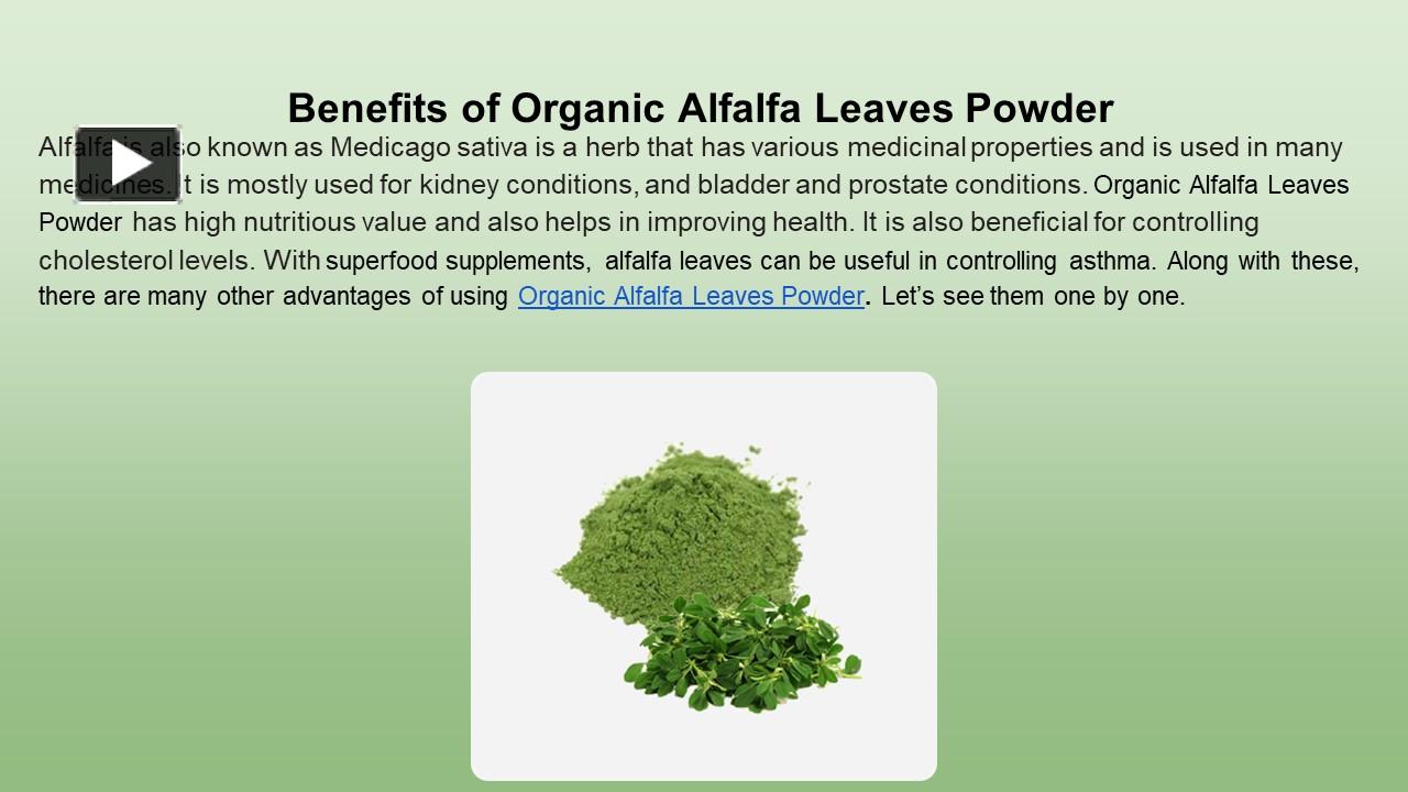 PPT – Benefits of Organic Alfalfa Leaves Powder PowerPoint presentation | free to download - id ...