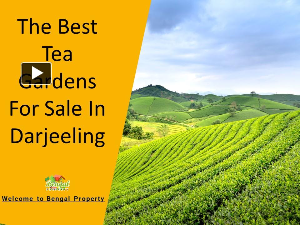 PPT – The Best Tea Gardens For Sale In Darjeeling PowerPoint presentation | free to download ...