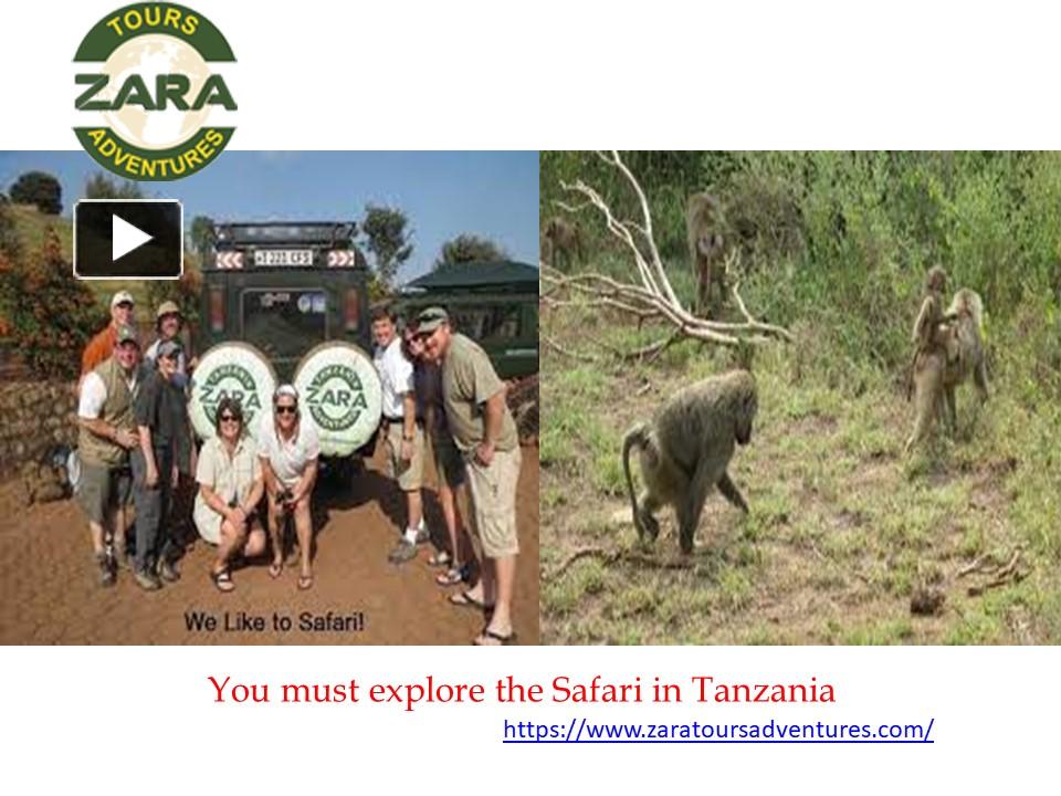 PPT – You must explore the Safari in Tanzania PowerPoint presentation | free to download - id ...