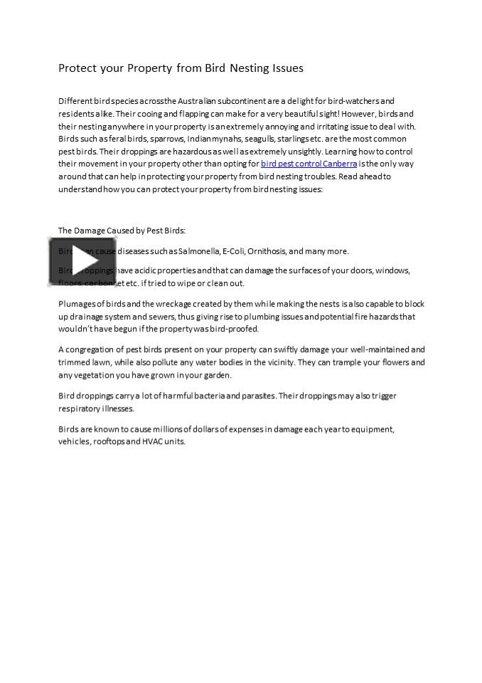 Protect your Property from Bird Nesting Issues presentation | free to download