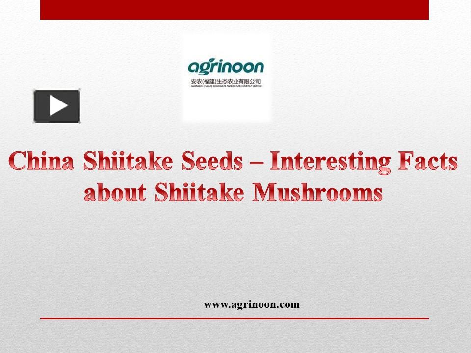 China Shiitake Seeds – Interesting Facts about Shiitake Mushrooms presentation | free to download