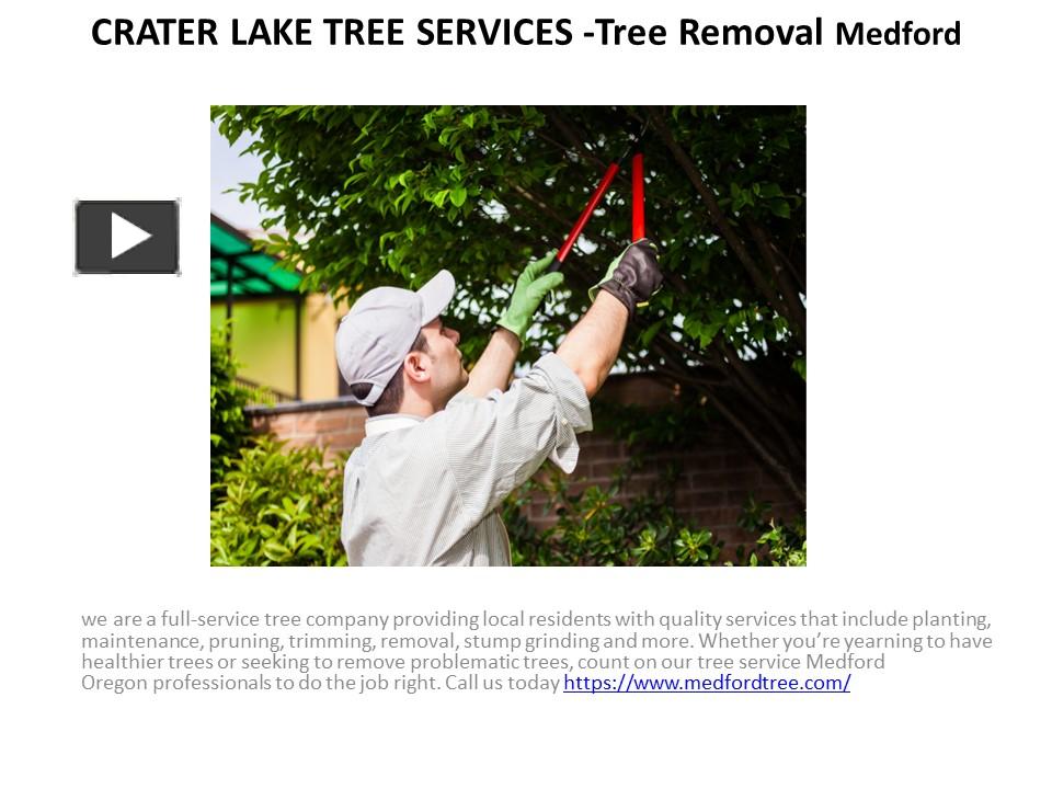 PPT – BEST CRATER LAKE TREE SERVICES -Tree Removal Medford PowerPoint presentation | free to ...