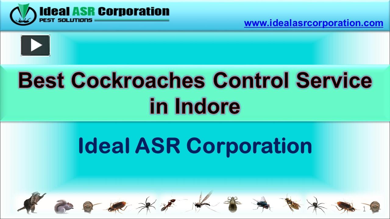 Best Cockroaches Control Service in Indore –Ideal ASR presentation | free to download