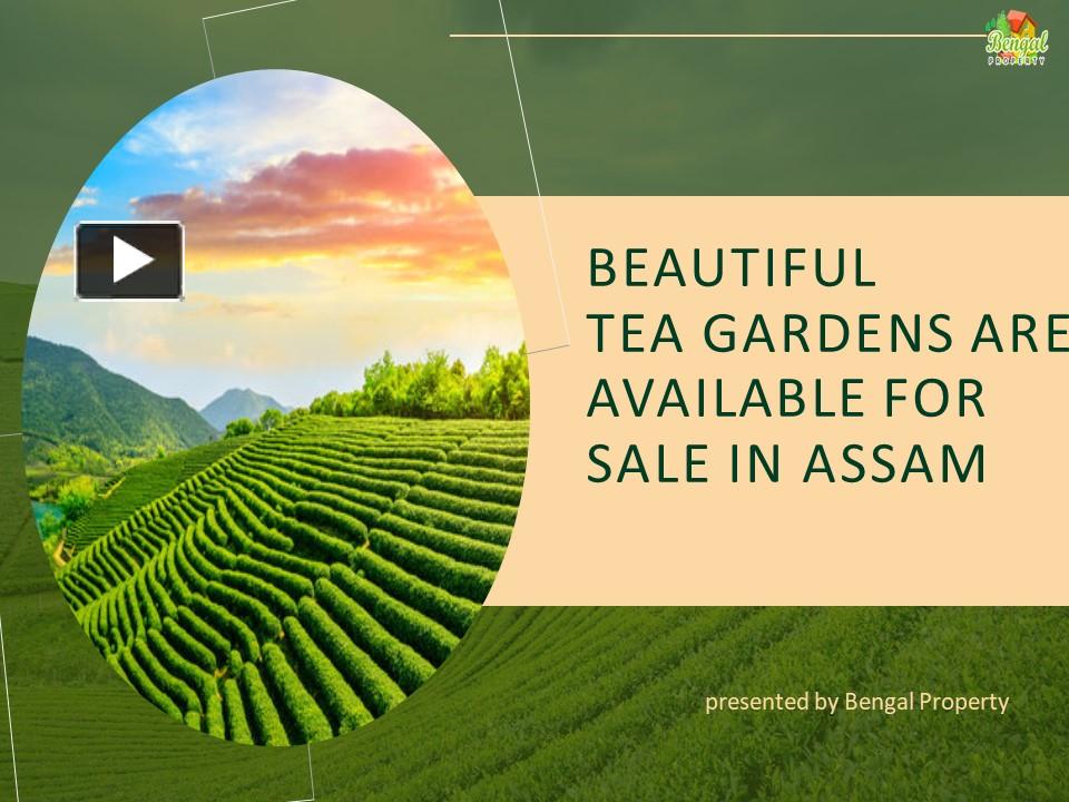 Beautiful Tea Gardens Are Available For Sale In Assam presentation | free to download