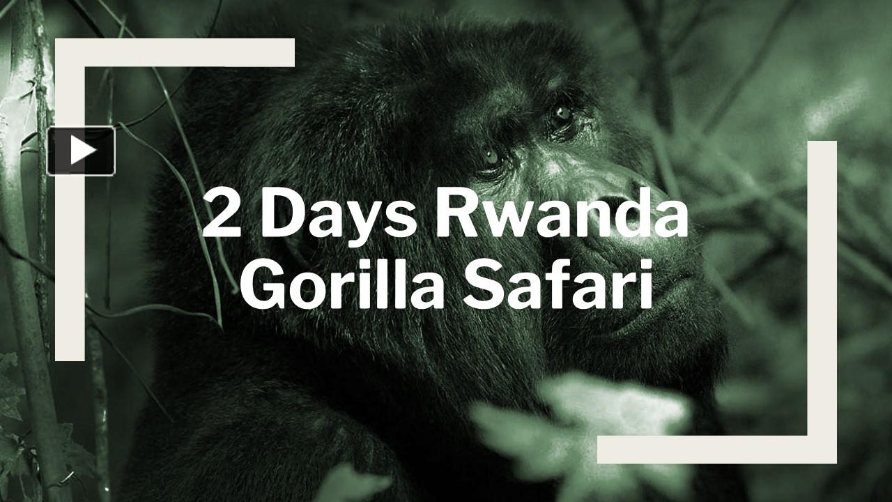 PPT – 2 Days Rwanda Gorilla Safari PowerPoint presentation | free to download - id: 9600c9-MjM5N