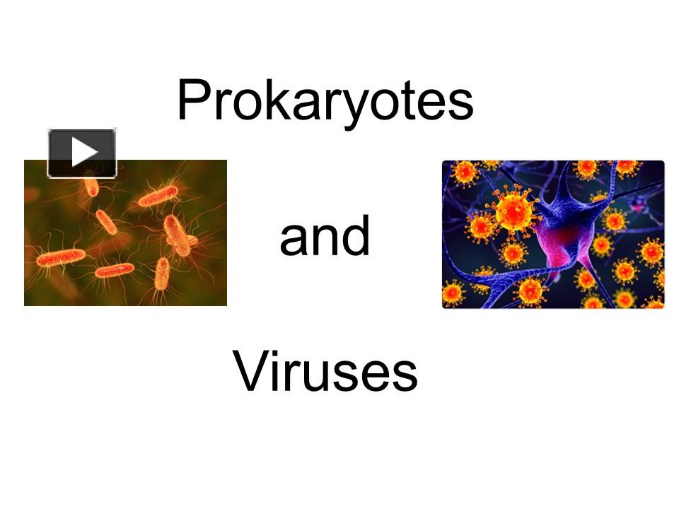 PPT – prokaryotes PowerPoint presentation | free to download - id ...