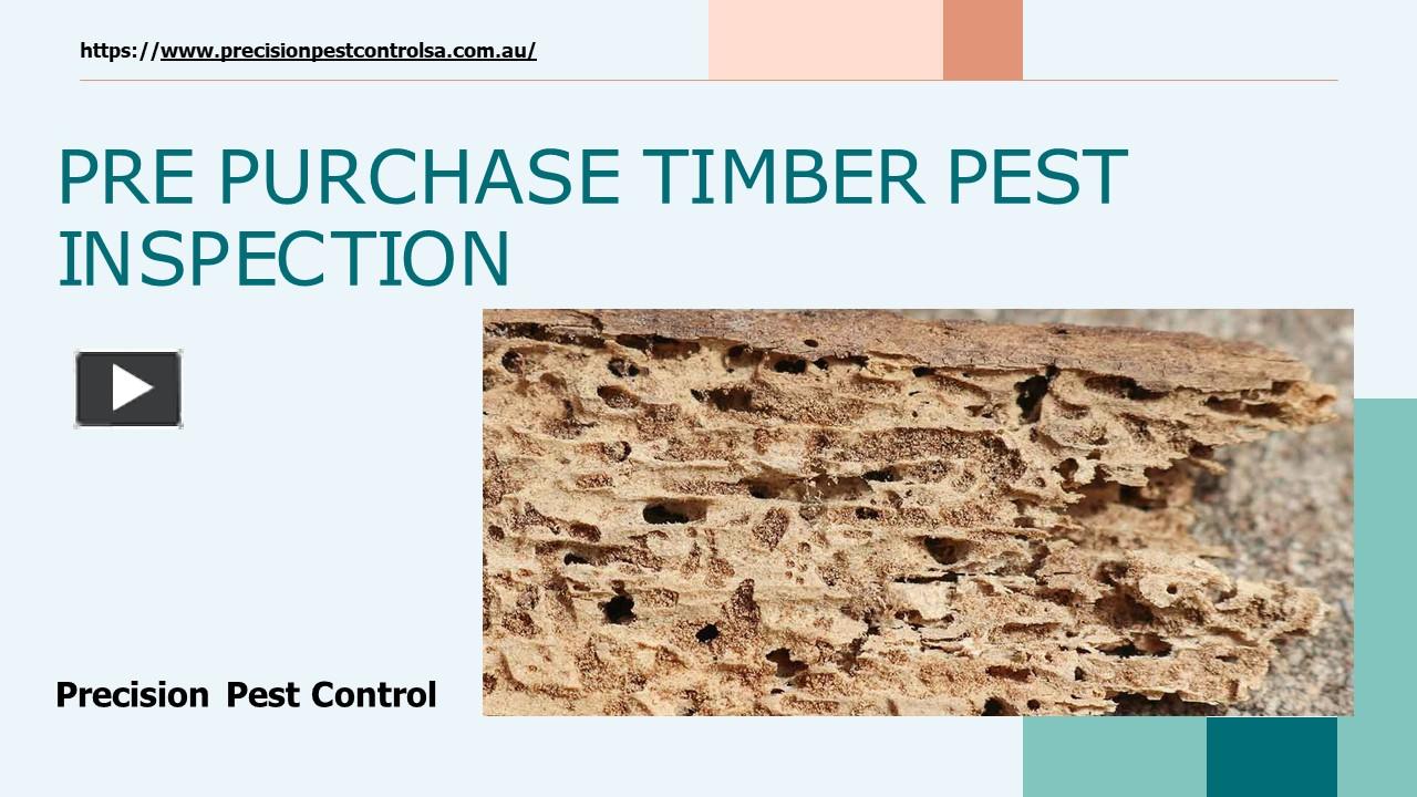 PPT – Termite Treatment Adelaide | Precision Pest Control | Australia PowerPoint presentation ...