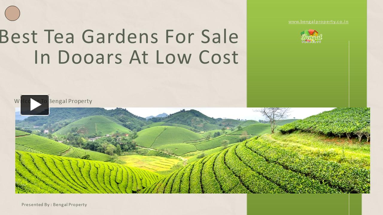 PPT – Best Tea Gardens For Sale In Dooars At Low Cost PowerPoint presentation | free to download ...