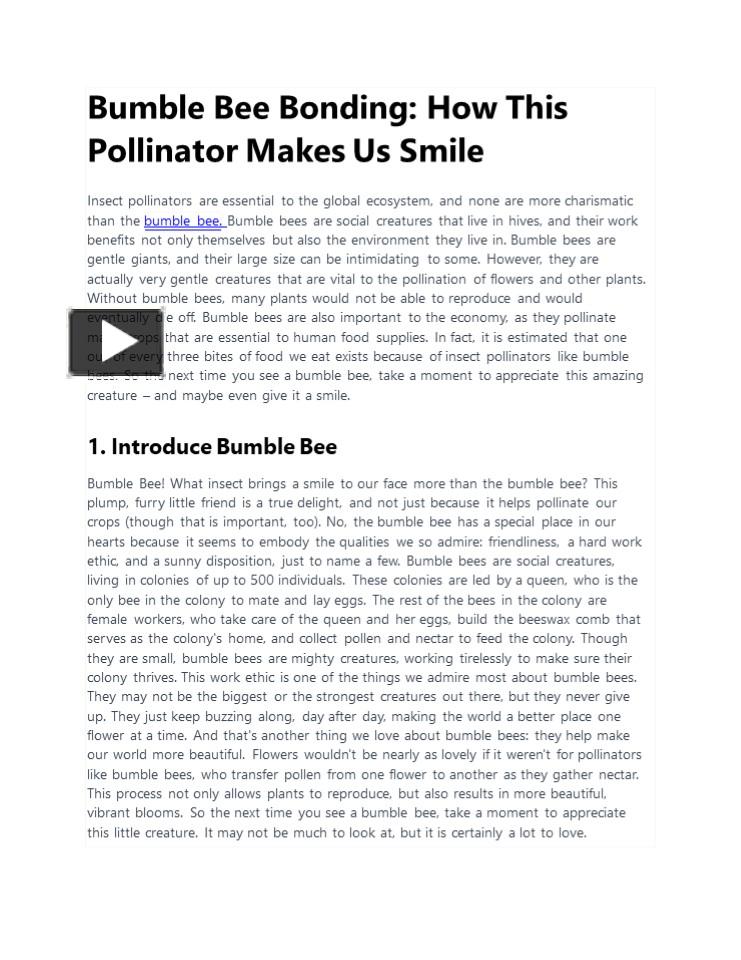 PPT – Bumble Bee Bonding PowerPoint presentation | free to download - id: 963c33-YTZkY