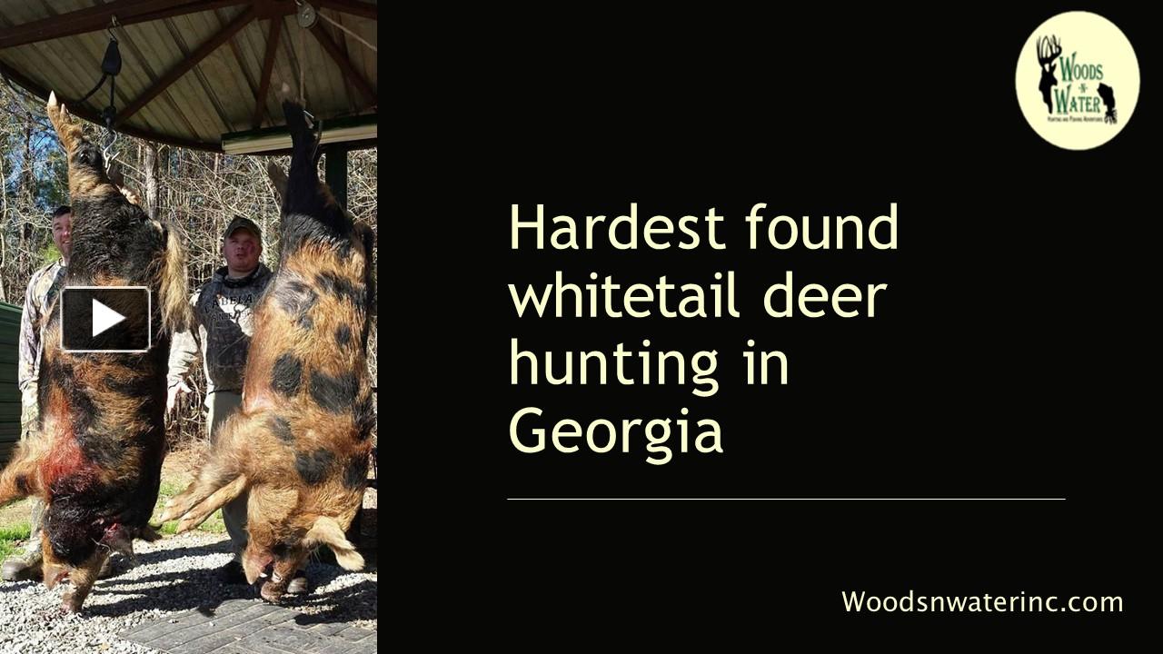 PPT – Hardest found whitetail deer hunting in Georgia PowerPoint presentation | free to download ...