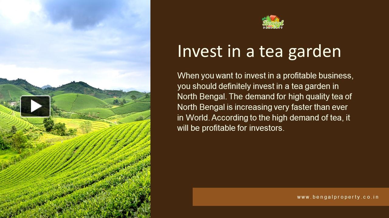 PPT – High Quality Tea Gardens For Sale In North Bengal PowerPoint presentation | free to ...