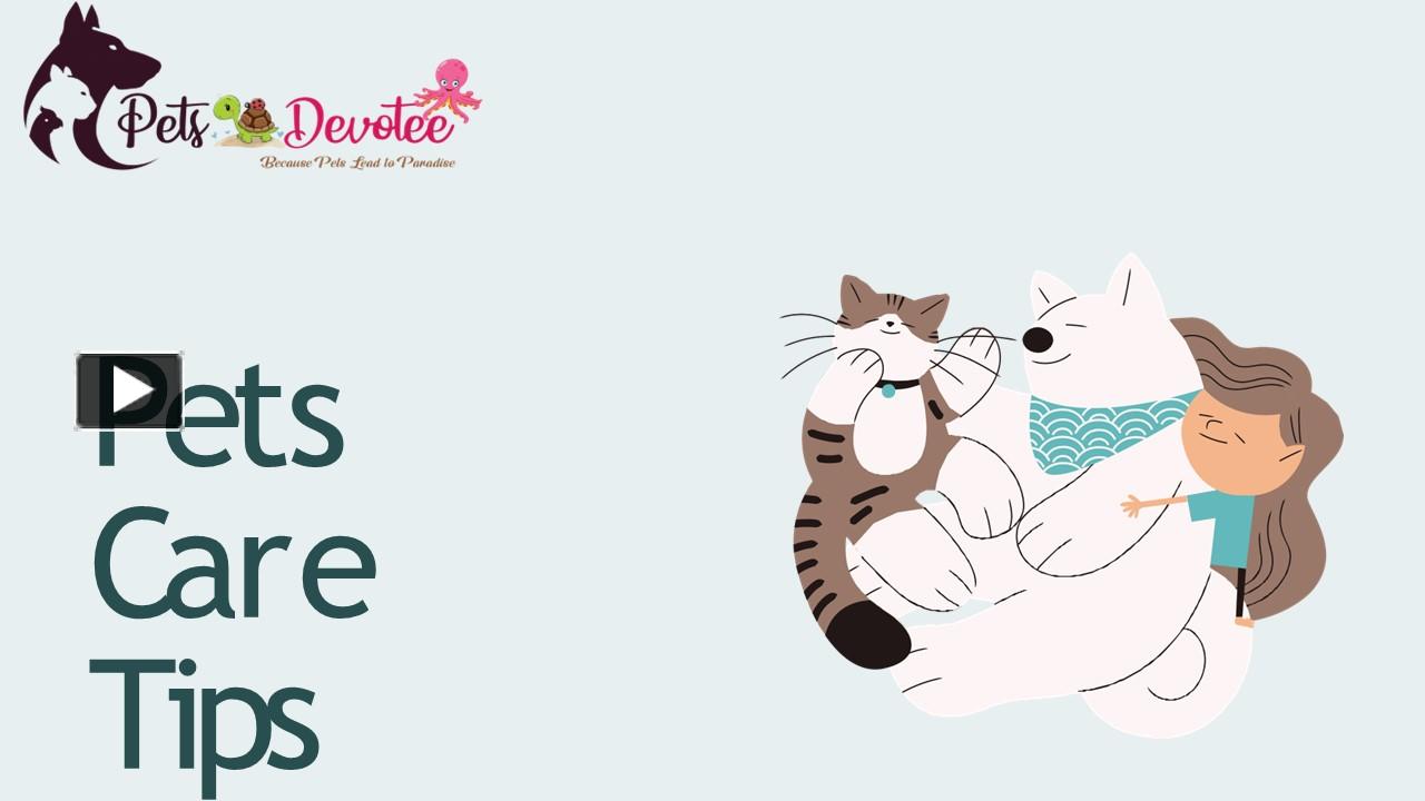 PPT – Pets Care Tips-Petsdevotee PowerPoint presentation | free to ...