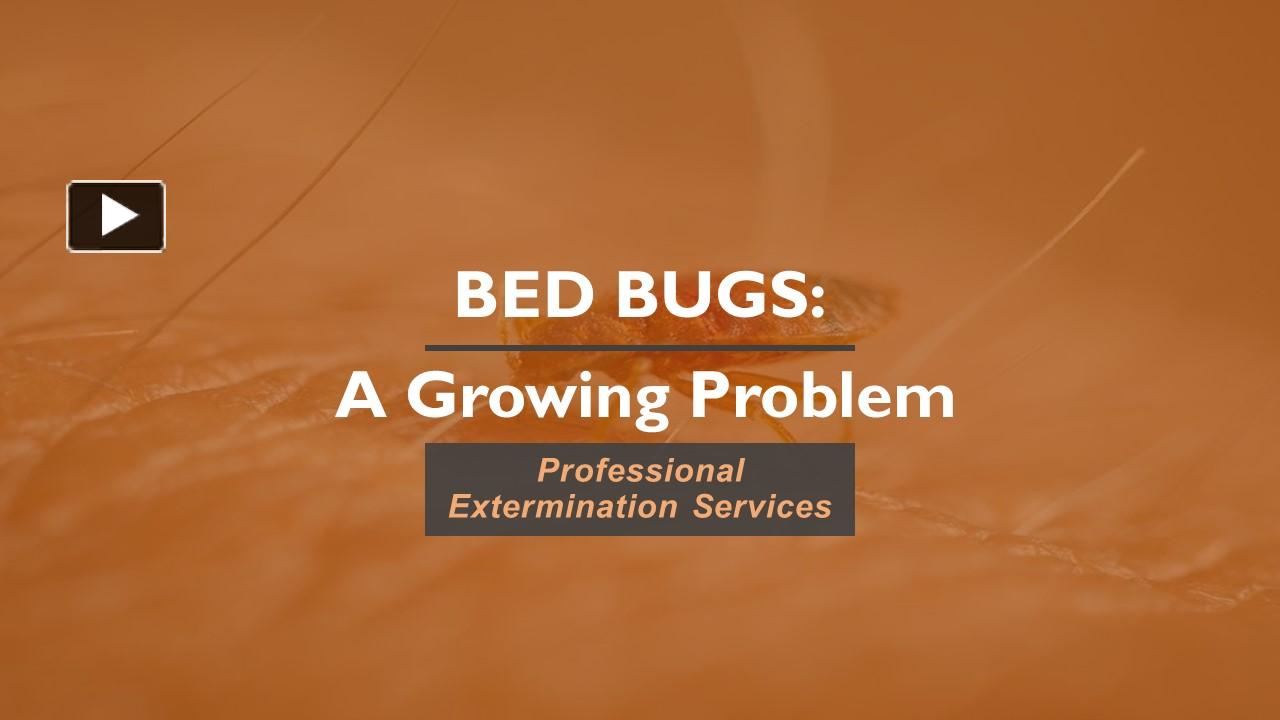 Bed Bugs Control presentation | free to download
