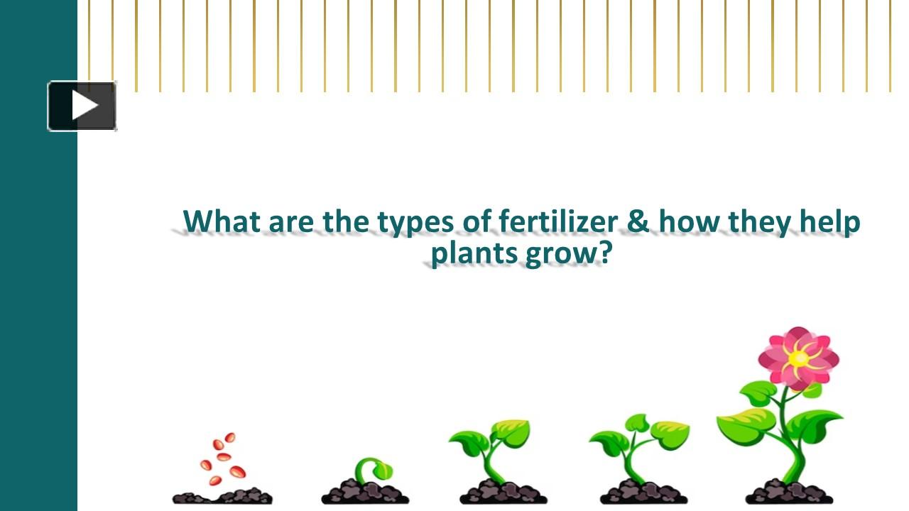 What are the types of fertilizer & how do they help plants grow ...