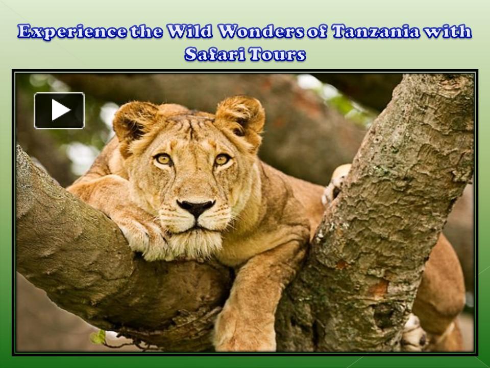 PPT – Experience the Wild Wonders of Tanzania with Safari Tours PowerPoint presentation | free ...