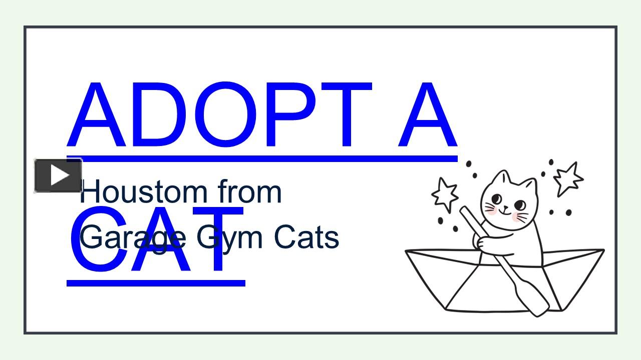 PPT – Why You Should Adopt a cat in Houston PowerPoint presentation ...