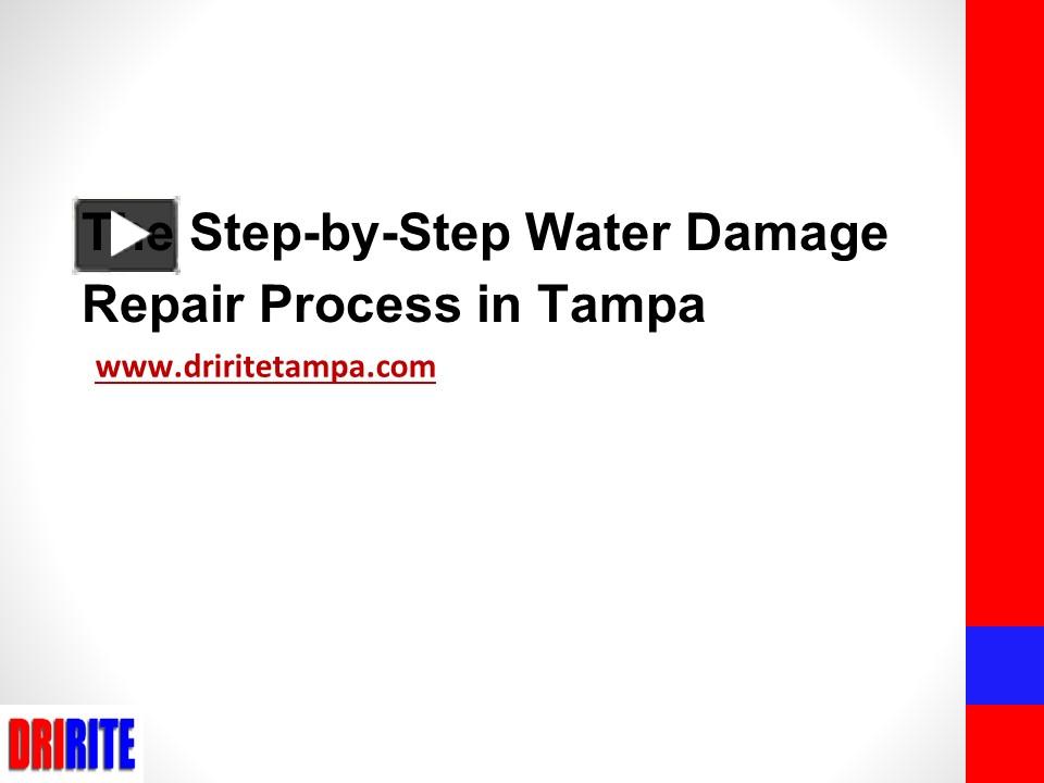 PPT – The Step-by-Step Water Damage Repair Process in Tampa PowerPoint presentation | free to ...