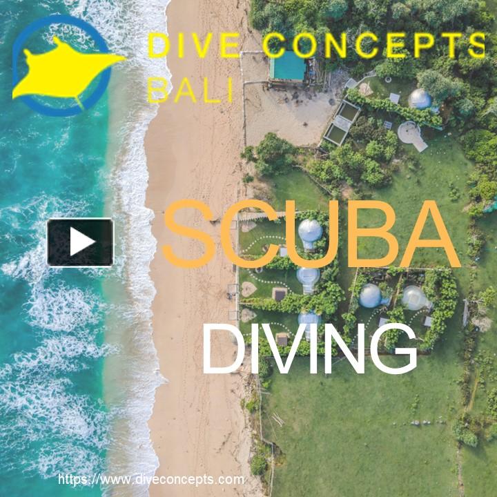 PPT – Experience Best Scuba Diving In Bali - Dive Concepts PowerPoint presentation | free to ...