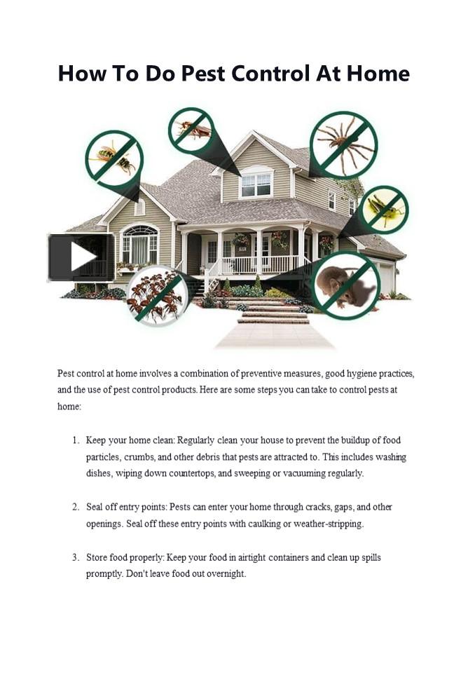 PPT – How To Do Pest Control At Home PowerPoint presentation | free to download - id: 96a21c-MDI1M