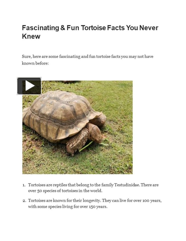 PPT – Fascinating & Fun Tortoise Facts You Never Knew PowerPoint presentation | free to download ...