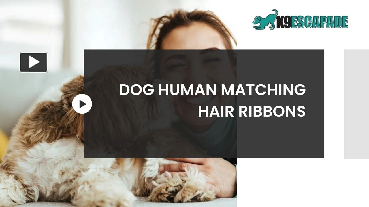 PPT – Purchase the Best Dog Human Matching Hair Ribbons PowerPoint presentation | free to ...
