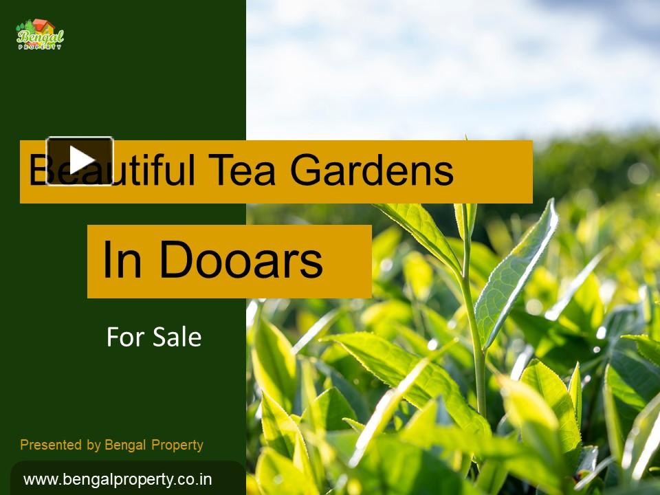 PPT – Beautiful Tea Gardens In Dooars For Sale PowerPoint presentation | free to download - id ...