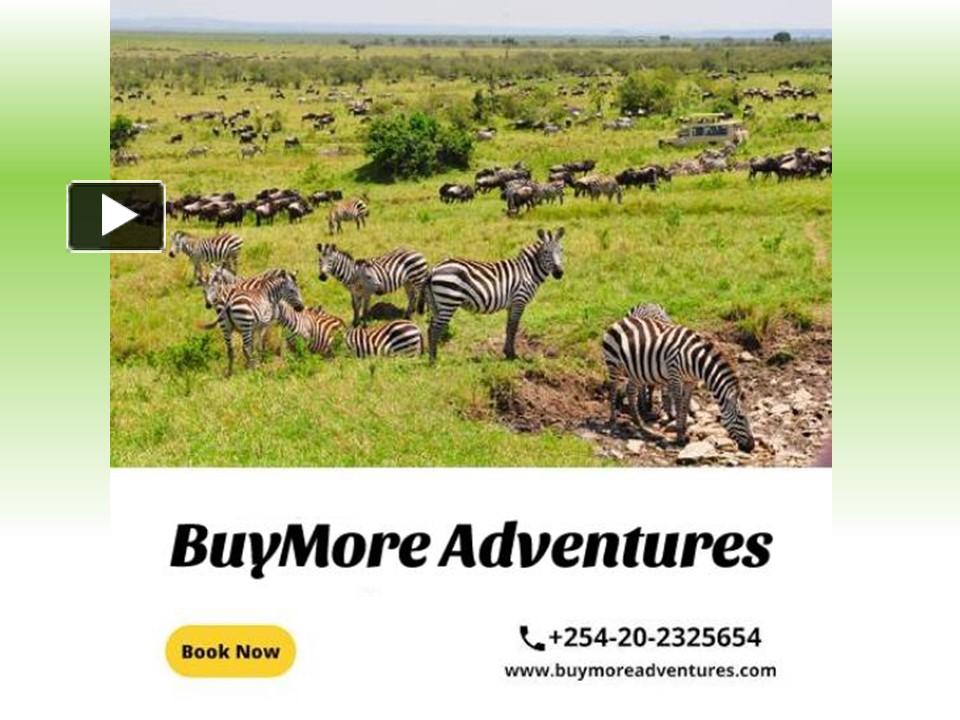 PPT – Masai Mara Migration Safari – The Look Into The Urger for Survival PowerPoint presentation ...