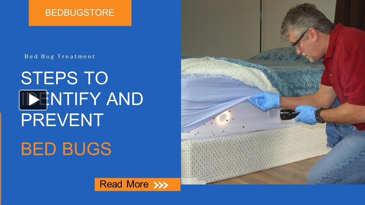 PPT – Find Easy Steps to Identify and Prevent Bed Bugs PowerPoint presentation | free to ...