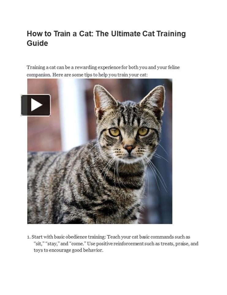 How to Train a Cat: The Ultimate Cat Training Guide presentation | free ...
