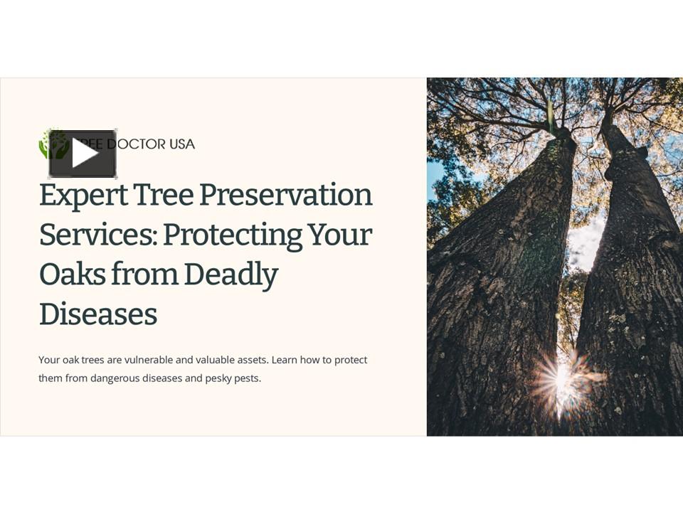 PPT – Expert Tree Preservation Services: Protecting Your Oaks from Deadly Diseases PowerPoint ...