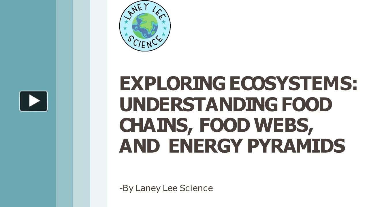 A Comprehensive Guide to Ecosystems, Food Chains, Food Webs, and Energy ...