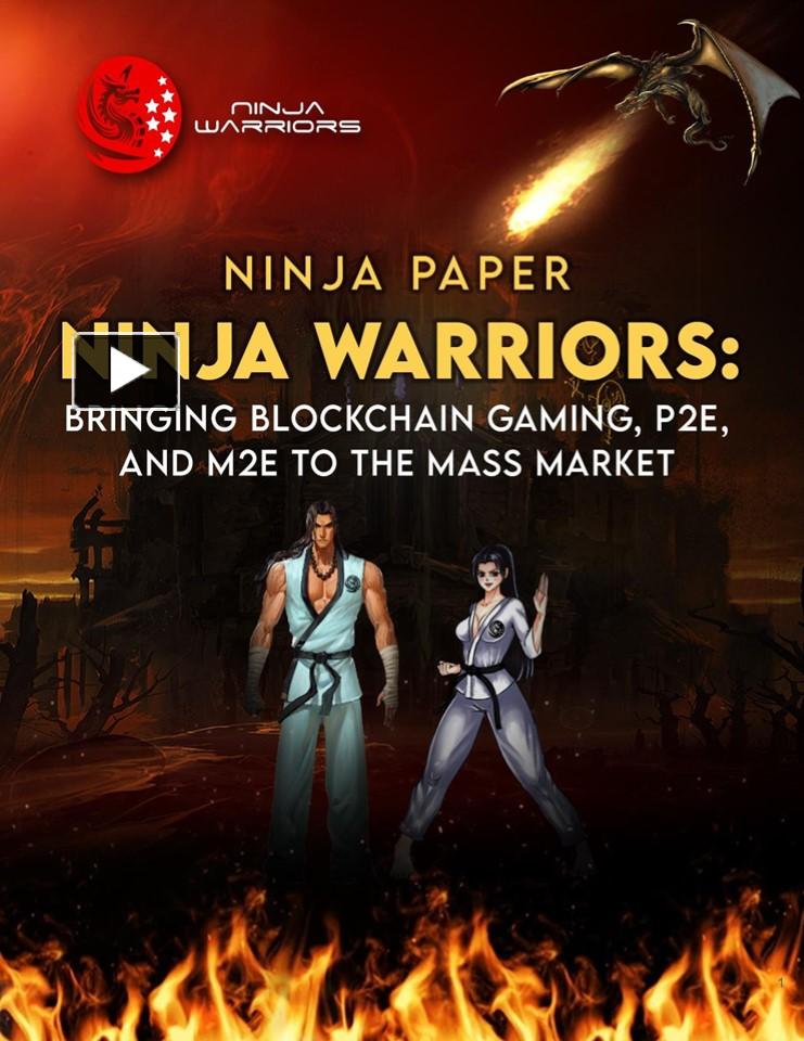 PPT – Ninja Warriors Meta Whitepaper PowerPoint presentation | free to download - id: 96e0af-NTc0N