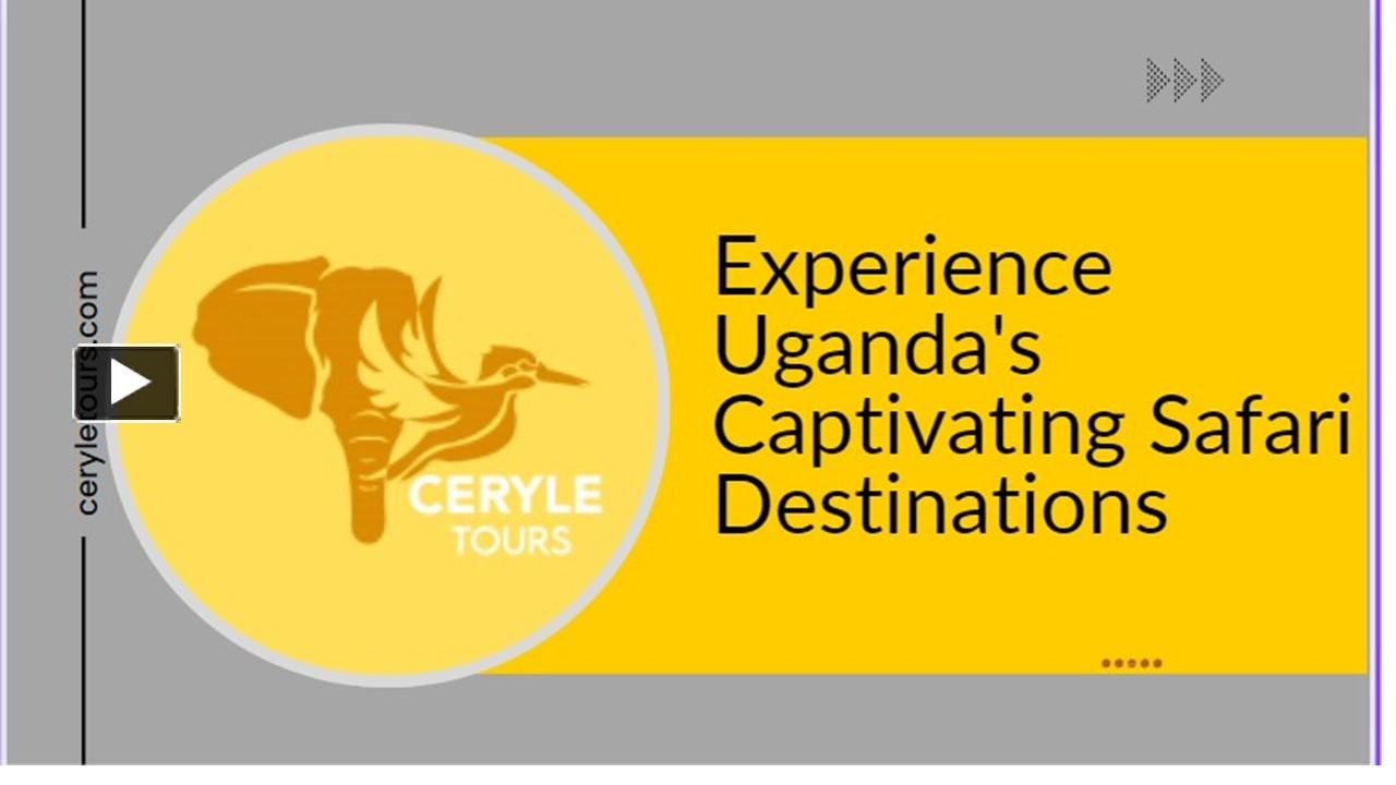 PPT – Experience Uganda's Captivating Safari Destinations PowerPoint presentation | free to ...