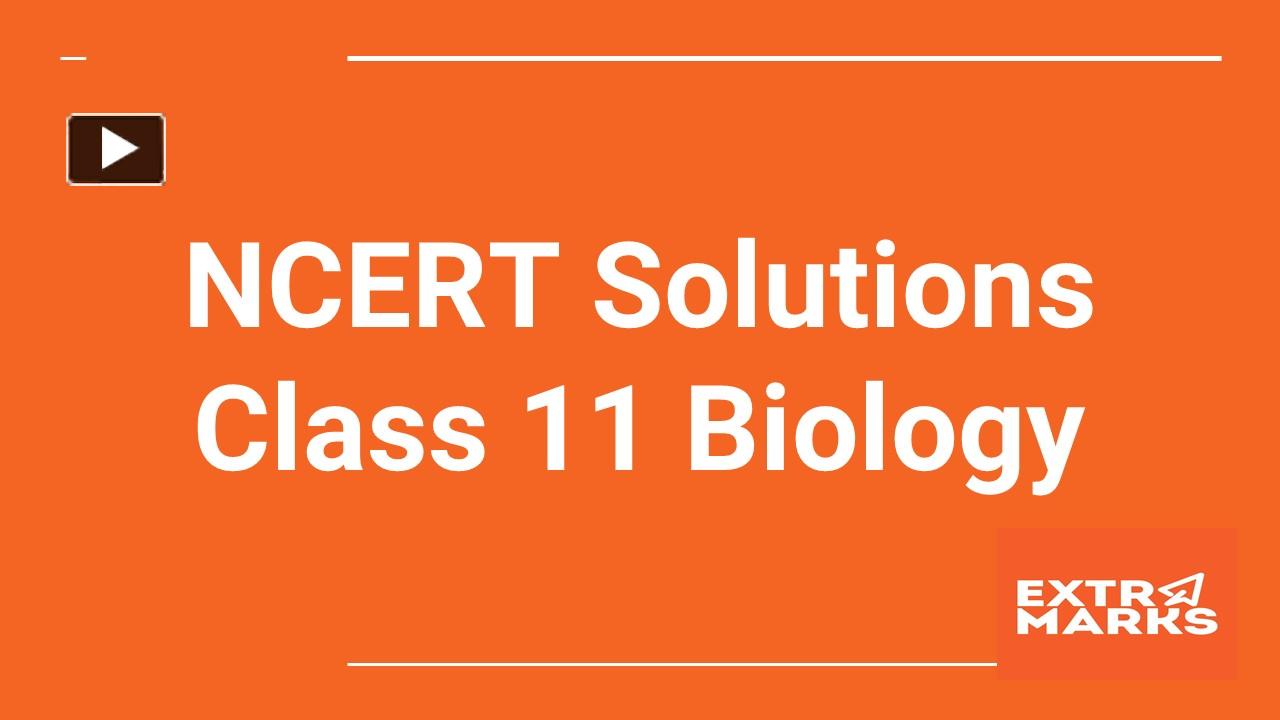 PPT – NCERT Solutions Class 11 Biology PowerPoint presentation | free to download - id: 970dd8-OGFmZ
