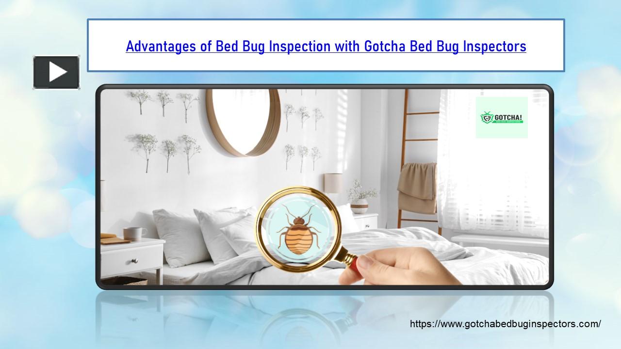 PPT – Advantages of Bed Bug Inspection with Gotcha Bed Bug Inspectors PowerPoint presentation ...
