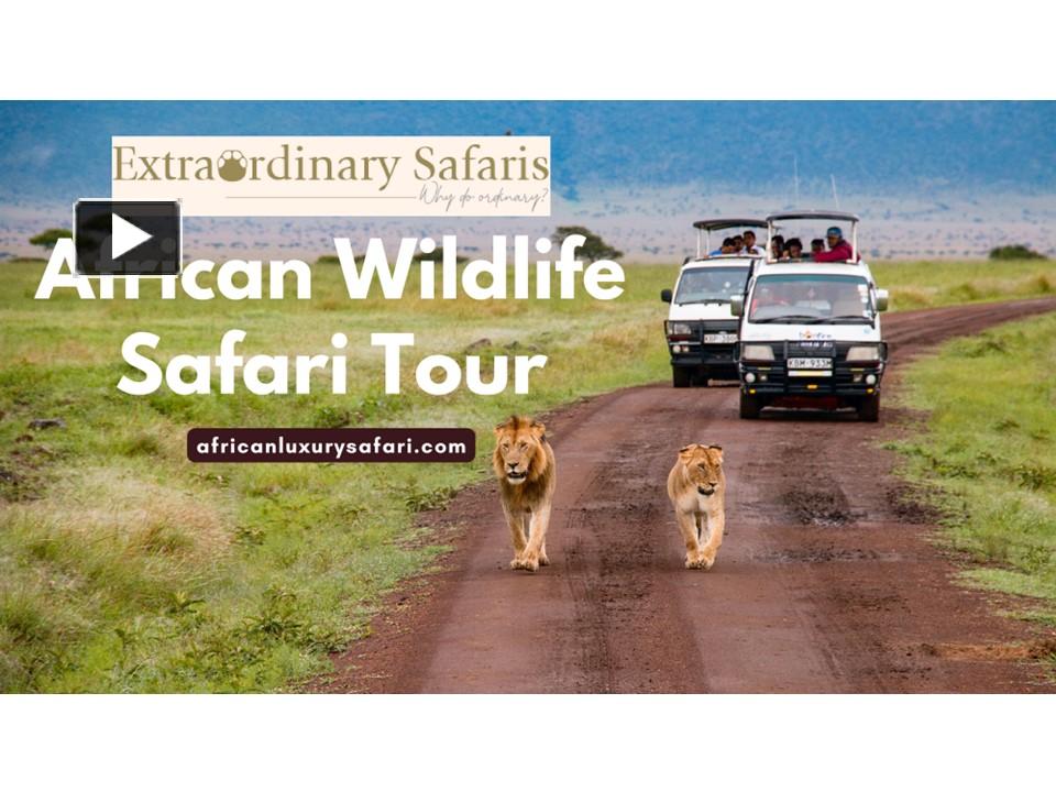African Wildlife Safari Tour presentation | free to download