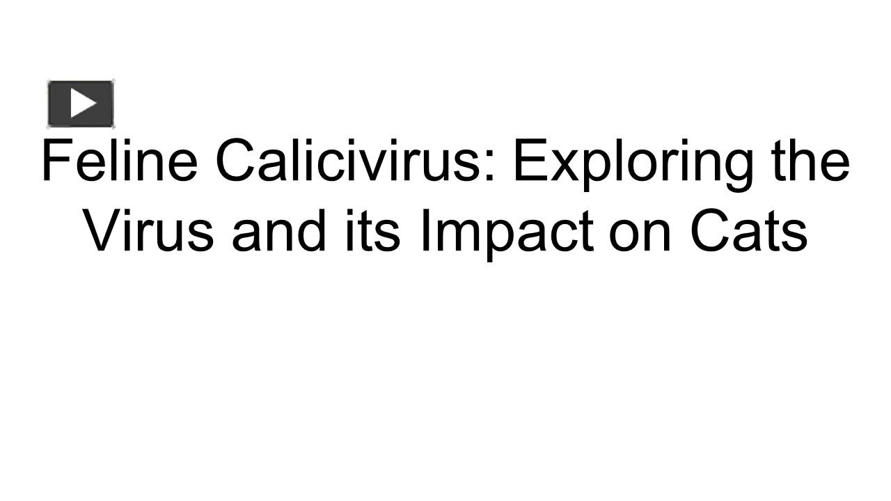 PPT – Feline Calicivirus: Exploring the Virus and its Impact on Cats ...