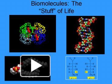 Biomolecules: The Stuff of Life presentation | free to view