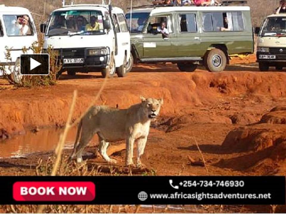 PPT – Embark on an Unforgettable Kenya Wildlife Adventure Selecting the Best Kenya Wildlife ...